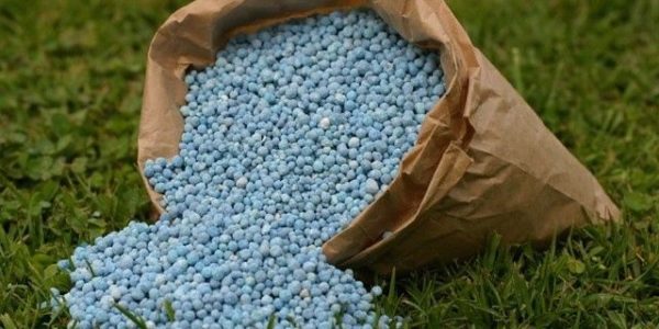 The Problem with Synthetic Fertilizers - The Zero Waste Family®