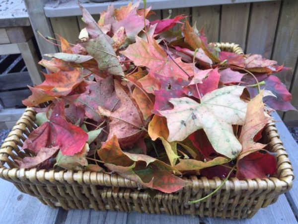 Fall-themed Recycling Crafts for Kids - The Zero Waste Family®