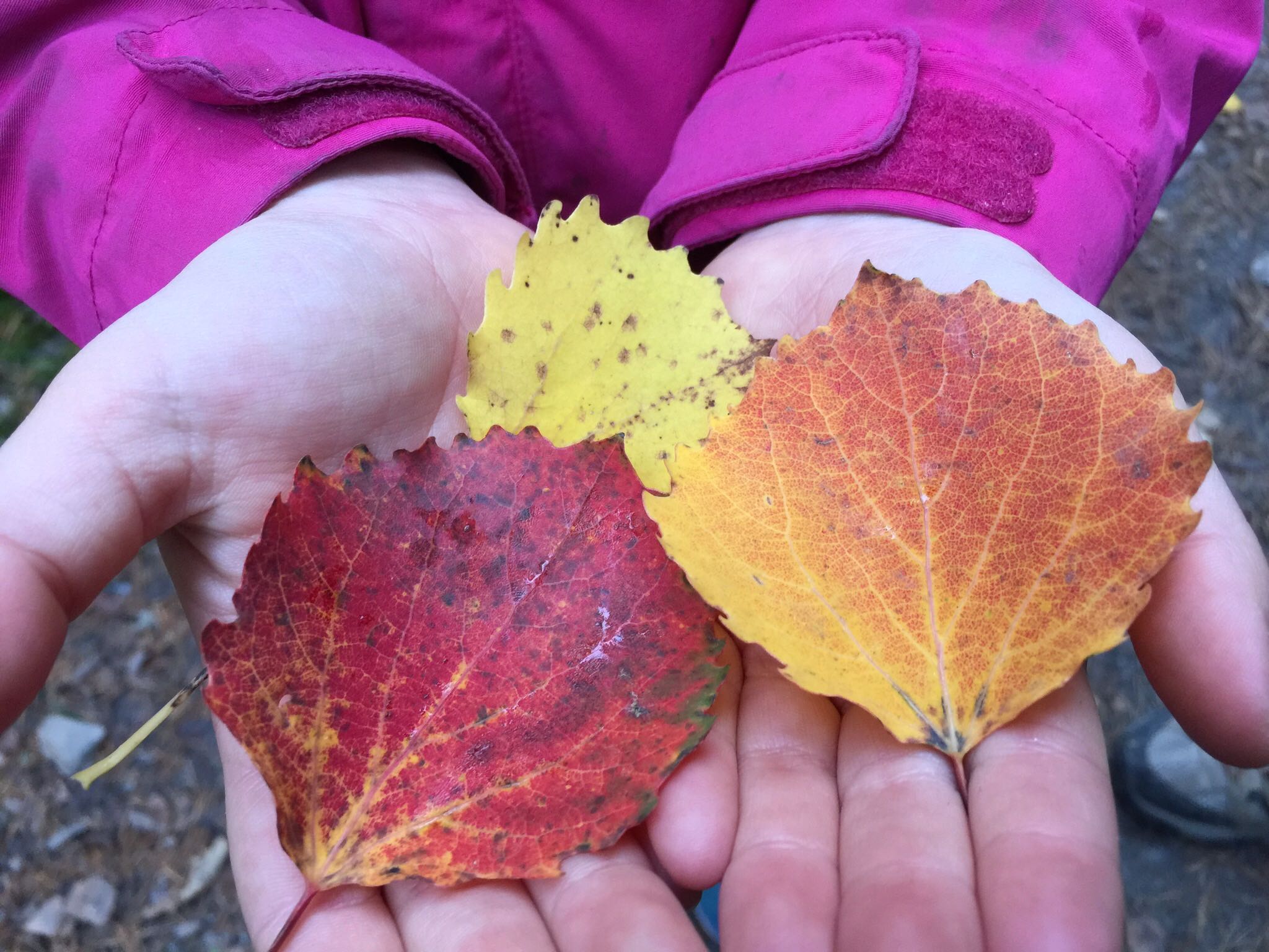 Fall-themed Recycling Crafts for Kids - The Zero Waste Family®