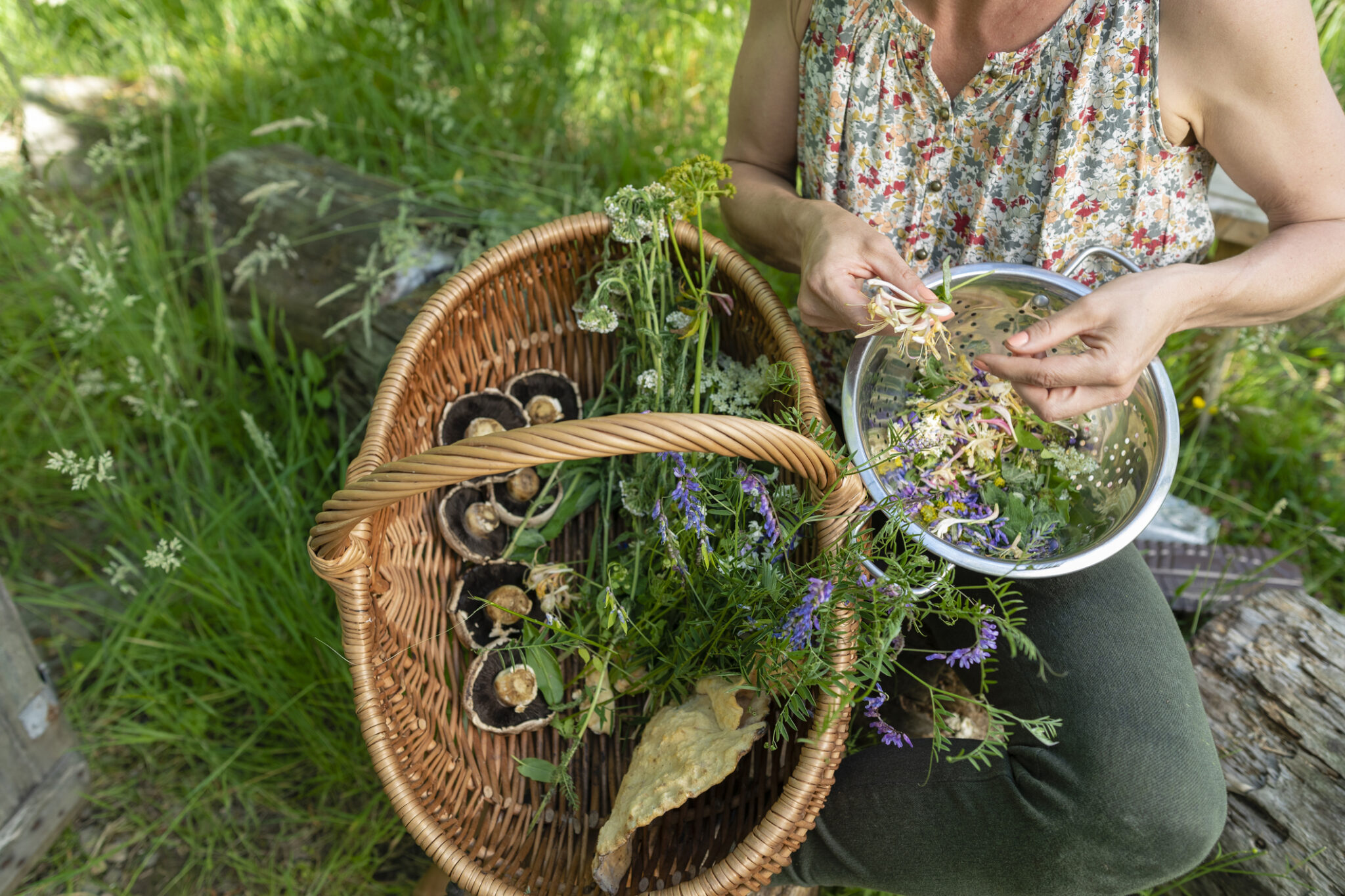 The Magic of Foraging - The Zero Waste Family®